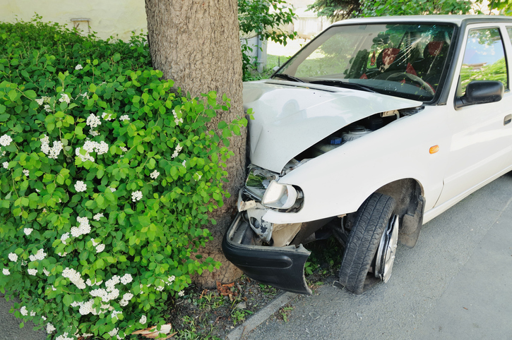 Woman Runs Red Light, Crashes Into Tree in Fatal Single-Vehicle ...